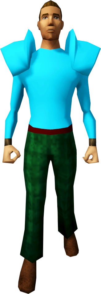 Platebody shop | RuneScape Wiki | Fandom