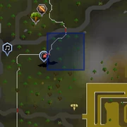 Distractions and Diversions/Locations/Evil Tree | RuneScape Wiki | Fandom