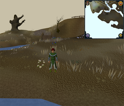 Ava's alerter | RuneScape Wiki | Fandom