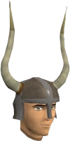 Archer helm | RuneScape Wiki | Fandom
