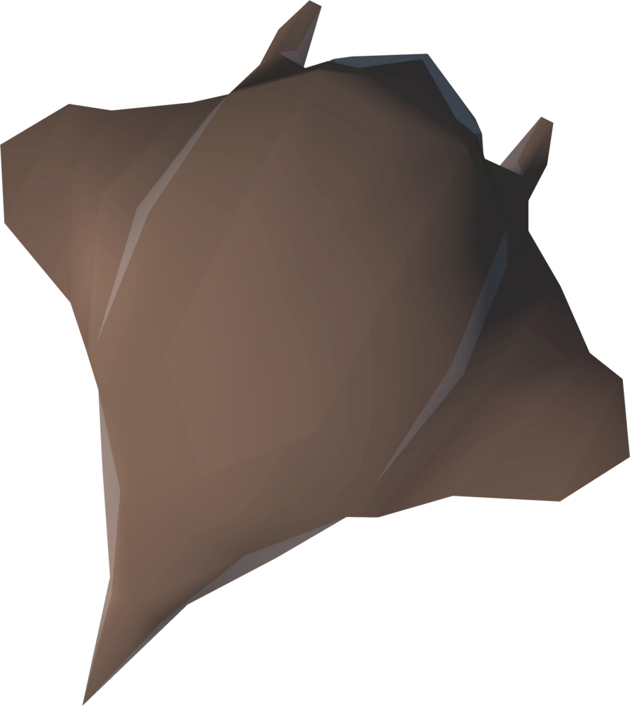 Ray | RuneScape Wiki | Fandom