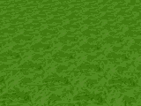 Category:Walk animation overrides | RuneScape Wiki | Fandom