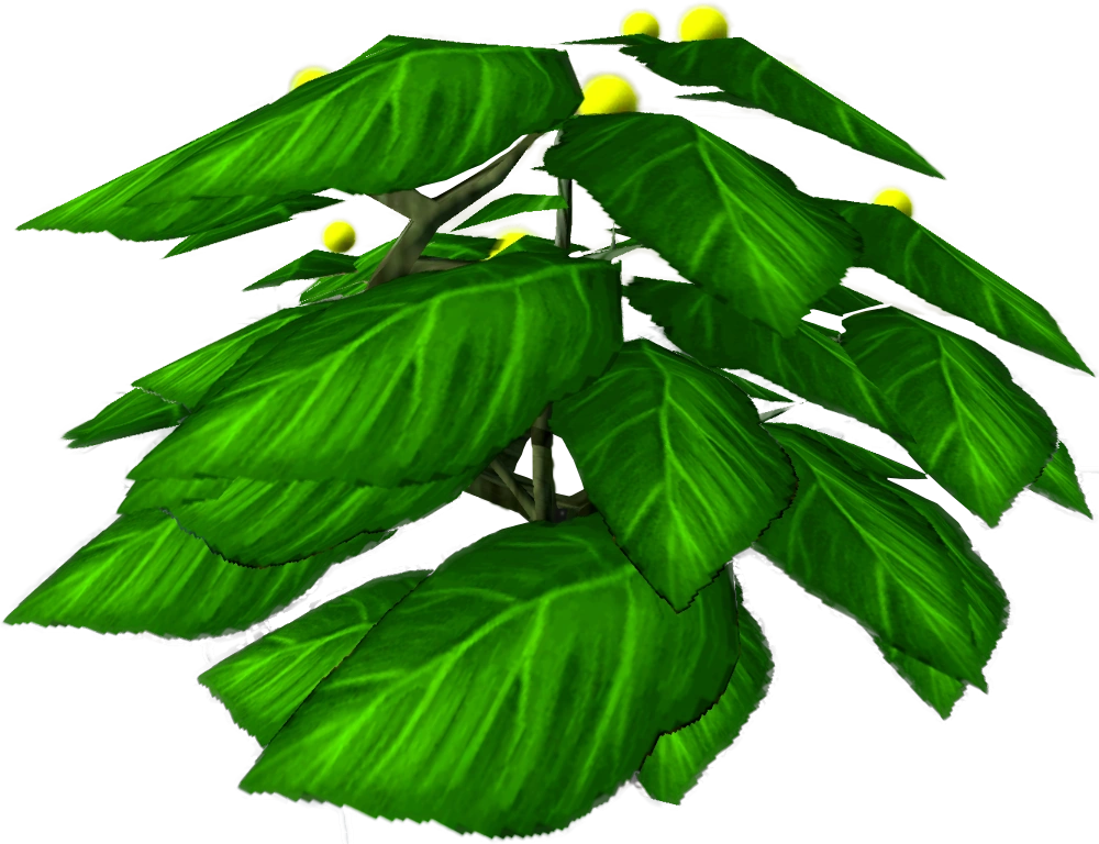 Squiffberry bush | RuneScape Wiki | Fandom