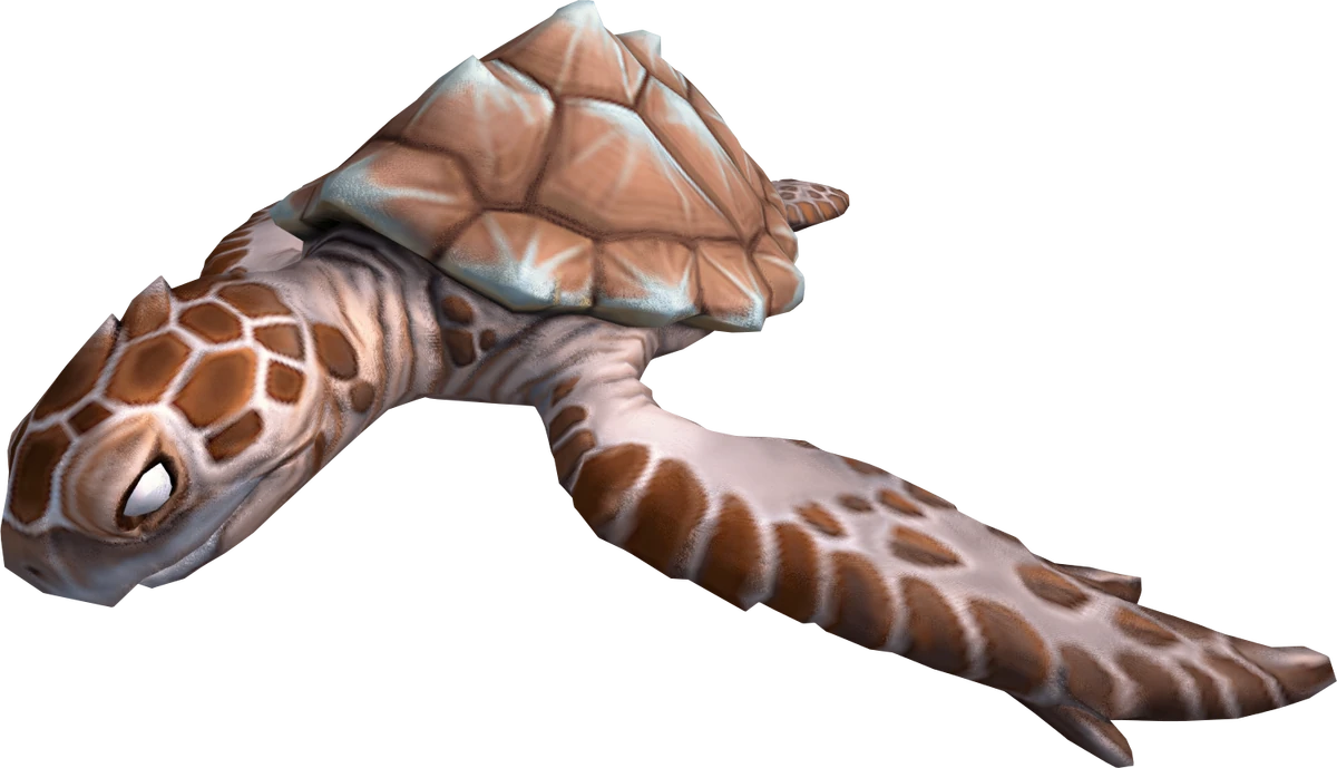 Sea turtle | RuneScape Wiki | Fandom