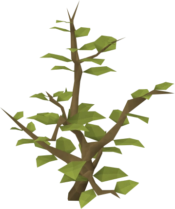Neverberry bush | RuneScape Wiki | Fandom