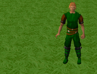 Large shell | RuneScape Wiki | Fandom