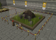 Varrock Museum displays | RuneScape Wiki | Fandom