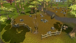 Legends' Guild mining site | RuneScape Wiki | Fandom