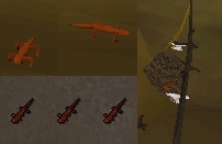 Red salamander (Hunter) | RuneScape Wiki | Fandom