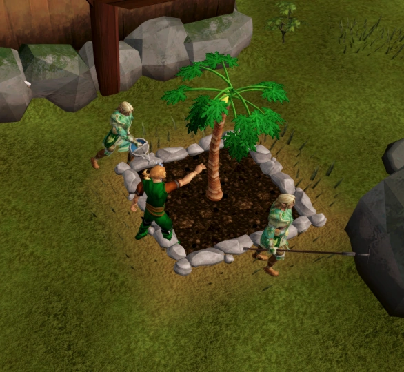 Money making guide/Picking papayas | RuneScape Wiki | Fandom