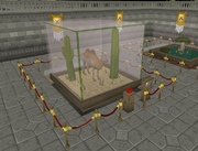Varrock Museum displays | RuneScape Wiki | Fandom
