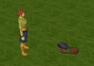 Postie Pete (pet) | RuneScape Wiki | Fandom