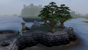 Daemonheim Peninsula resource dungeon | RuneScape Wiki | Fandom