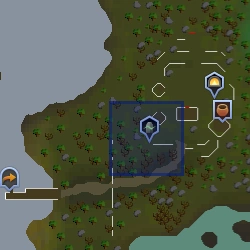 Distractions and Diversions/Locations/Familiarisation | RuneScape Wiki ...
