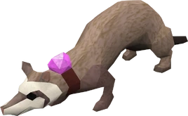 Ferret (Dungeoneering) | RuneScape Wiki | Fandom
