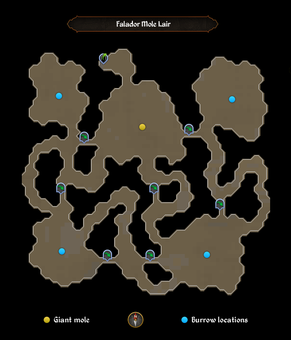 Map:Falador Mole Lair | RuneScape Wiki | Fandom
