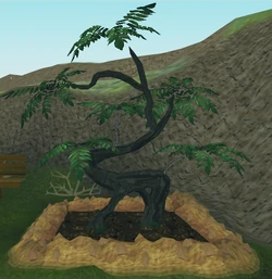 Curry tree | RuneScape Wiki | Fandom