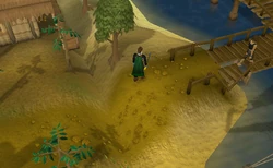 Musa Point | RuneScape Wiki | Fandom