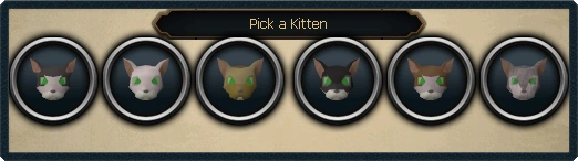 Cat | RuneScape Wiki | Fandom