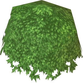 Bush (interactive scenery) | RuneScape Wiki | Fandom