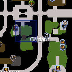 Tears of Seren | RuneScape Wiki | Fandom