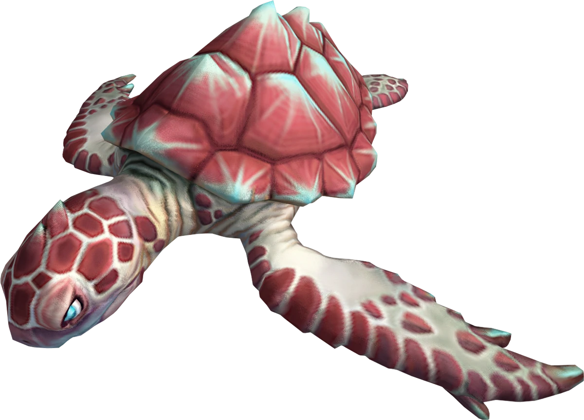 Raw sea turtle | RuneScape Wiki | Fandom