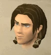 Chathead/Animations | RuneScape Wiki | Fandom