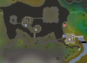 Silvarea | RuneScape Wiki | Fandom