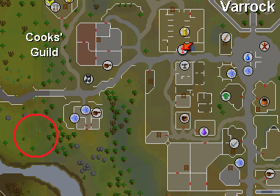 Air rune | RuneScape Wiki | Fandom