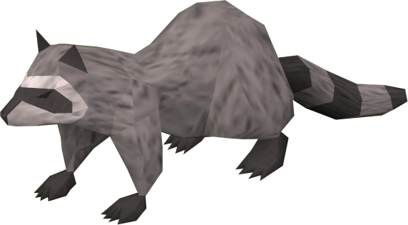 Raccoon (NPC) | RuneScape Wiki | Fandom