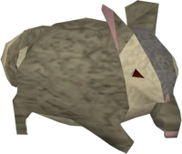 Chinchompa (Hunter) | RuneScape Wiki | Fandom