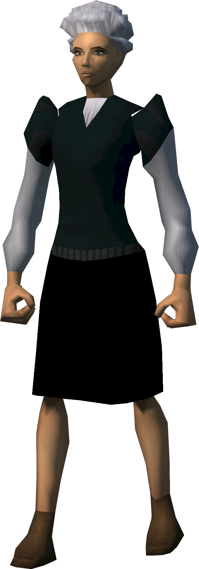 Defender (NPC) | RuneScape Wiki | Fandom