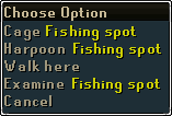 Fishing | RuneScape Wiki | Fandom