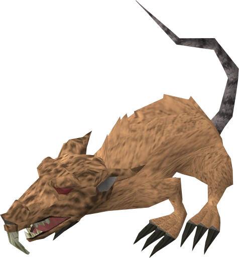 Angry giant rat | RuneScape Wiki | Fandom