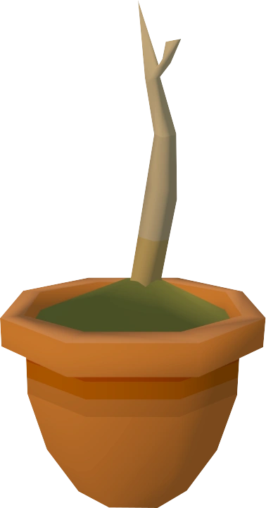 Palm sapling | RuneScape Wiki | Fandom