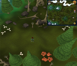 Ava's alerter | RuneScape Wiki | Fandom