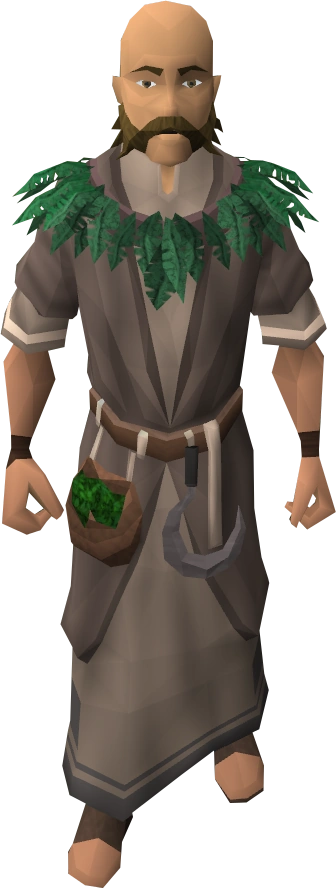 Druid (The Battle of Lumbridge) | RuneScape Wiki | Fandom