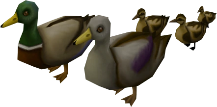 Mega ducklings | RuneScape Wiki | Fandom