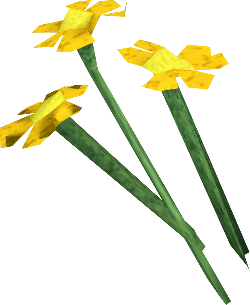 Orange flowers | RuneScape Wiki | Fandom
