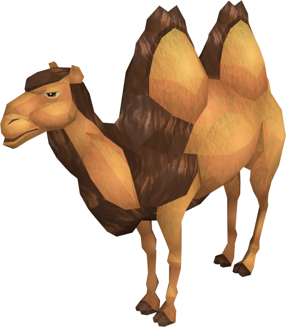 Cart Camel | RuneScape Wiki | Fandom