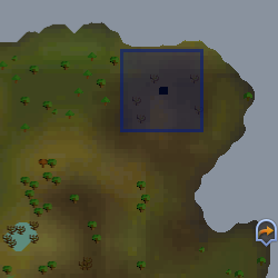 Rantz's cave | RuneScape Wiki | Fandom