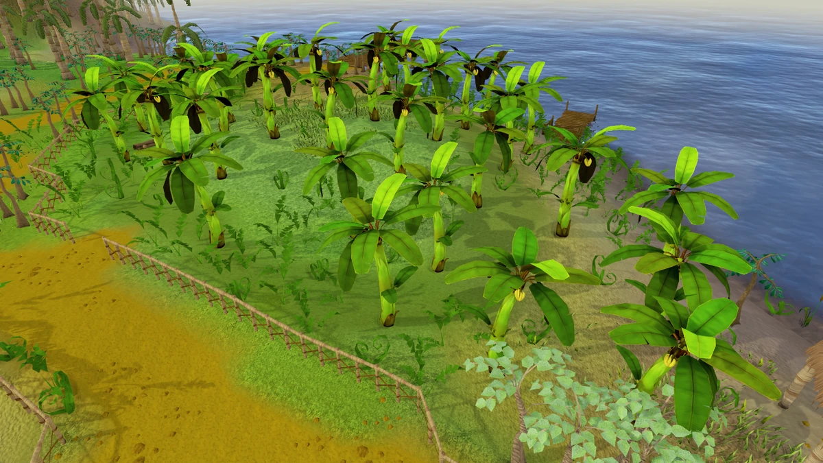 Banana plantation | RuneScape Wiki | Fandom