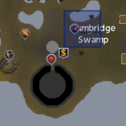 Lumbridge Swamp Caves | RuneScape Wiki | Fandom