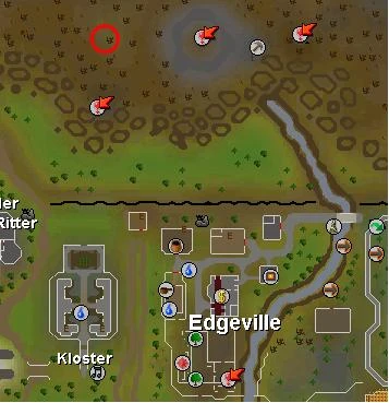 Chaos-Altar | RuneScape Wiki | Fandom