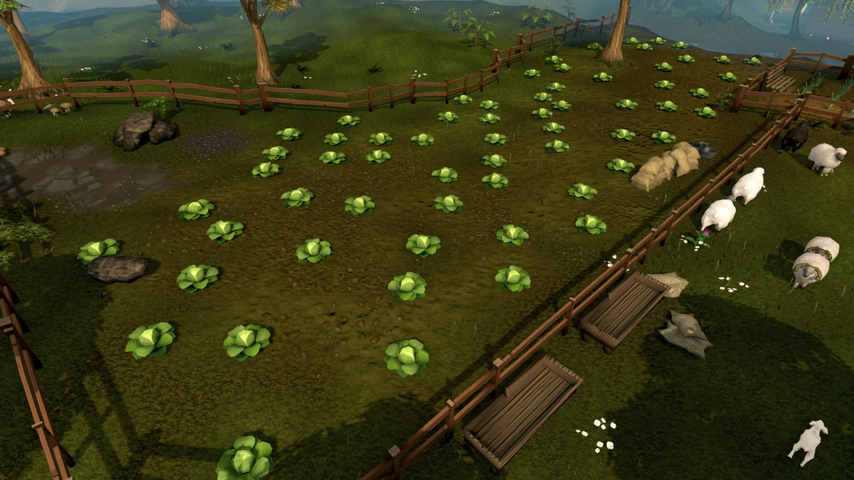 Lumbridge cabbage patch | RuneScape Wiki | Fandom