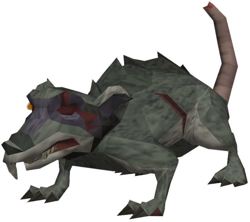 Giant crypt rat | RuneScape Wiki | Fandom