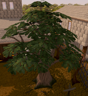 Seers' Village | RuneScape Wiki | Fandom