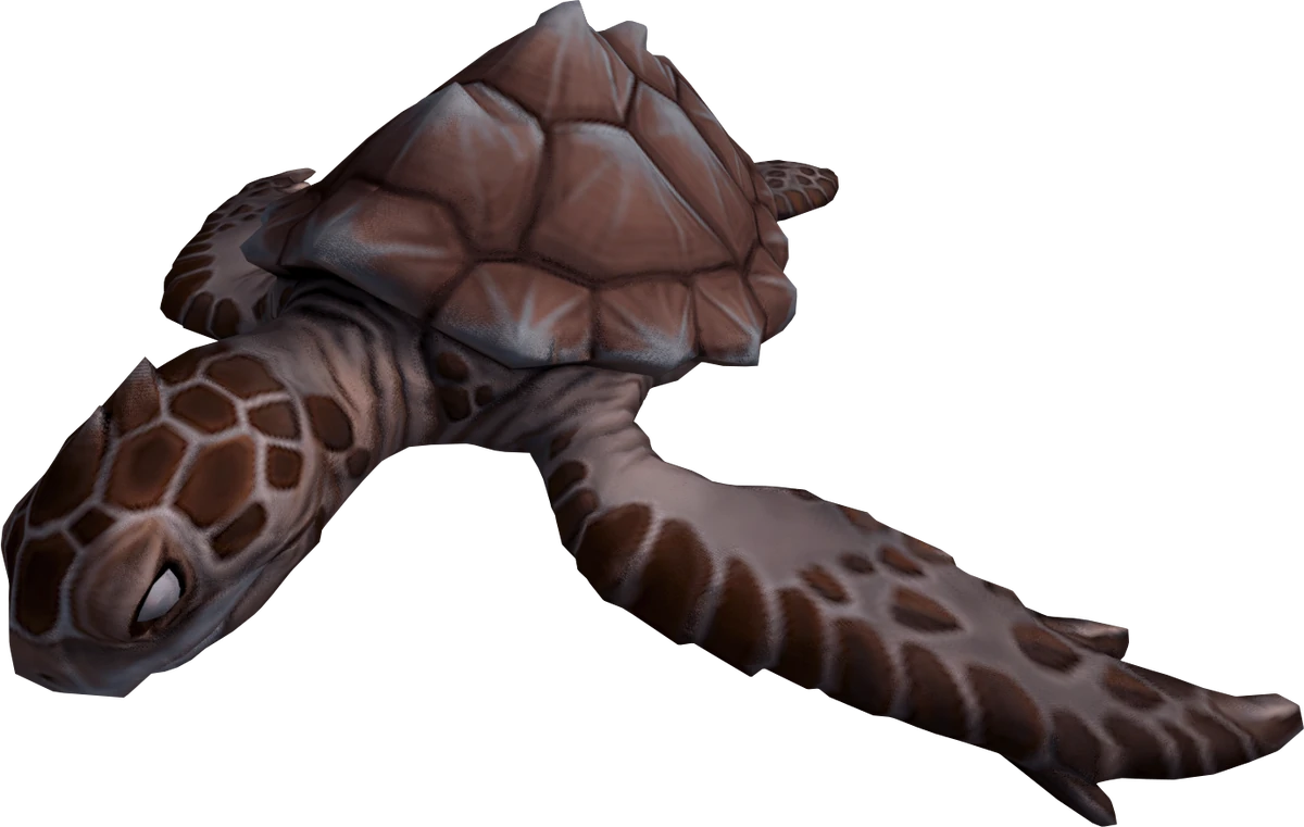 Burnt sea turtle | RuneScape Wiki | Fandom