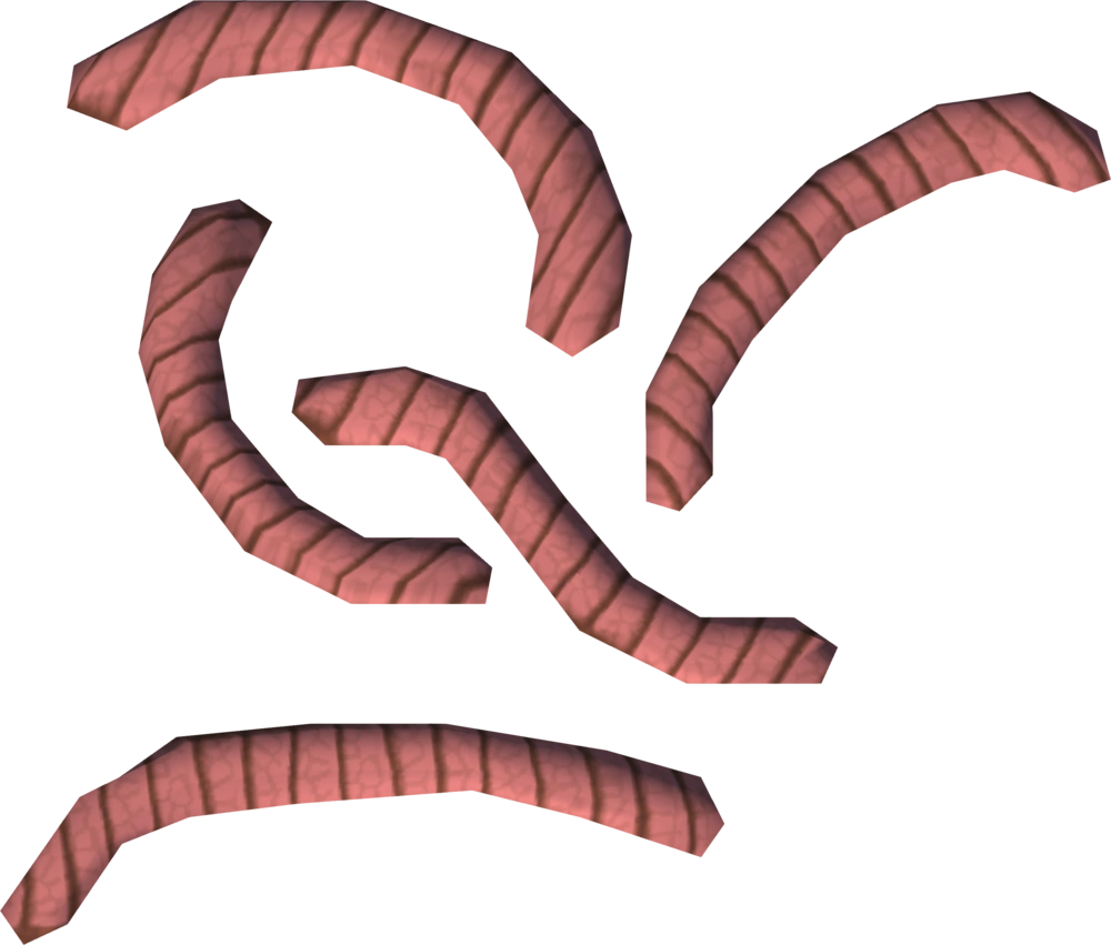 Worms | RuneScape Wiki | Fandom