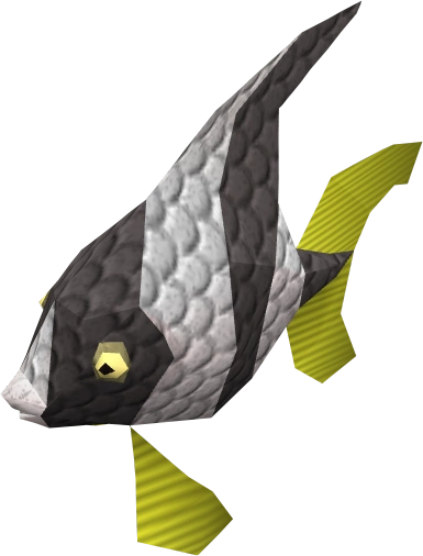 Fish (angelfish) | RuneScape Wiki | Fandom